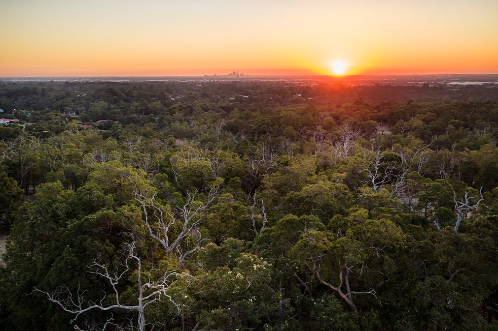 A case study into the creation of Perth’s most sustainable suburb, Bushmead