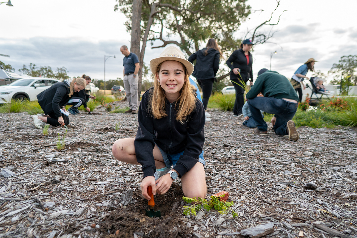 A case study into the creation of Perth’s most sustainable suburb, Bushmead